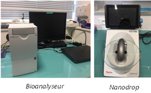 Plateau : Technique Génomique – PhyMedExp
